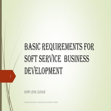 Basic requirements for soft service Business - introduction | PDF