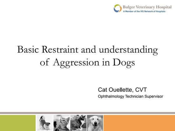 Animal Handling and Restraint | PPTX