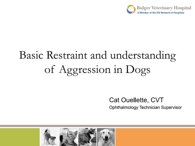 Animal Handling and Restraint | PPTX