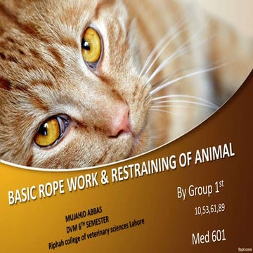 Restraining techniques of Animals | PDF