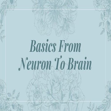 From Neuron To Brain, basics of neuroscience.pptx