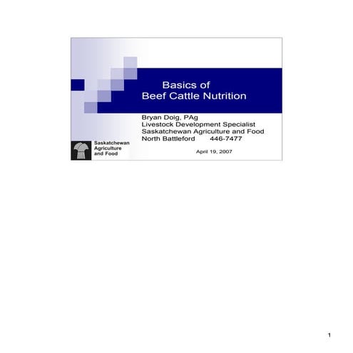 Basics of Beef Cattle Nutrition Notes | PDF