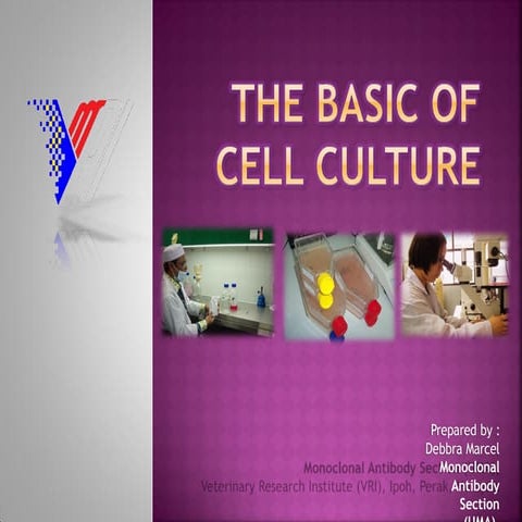 basics of mammalian cell culture, cell lines and aseptic techniques | PPT
