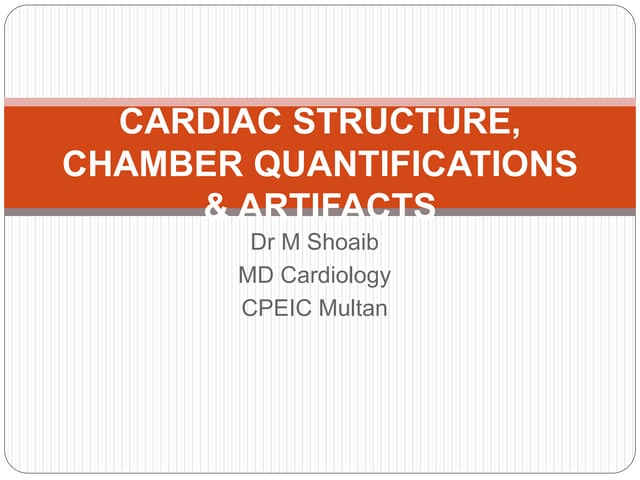 TEE VIEWS transesophageal echocardiography views.pptx | Heart and ...