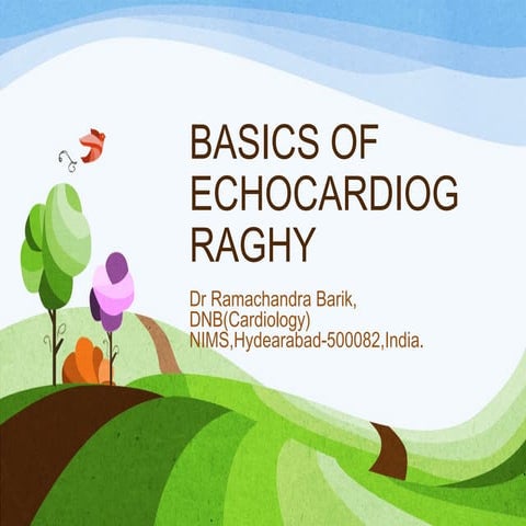 Basics of echocardiograghy | PPT
