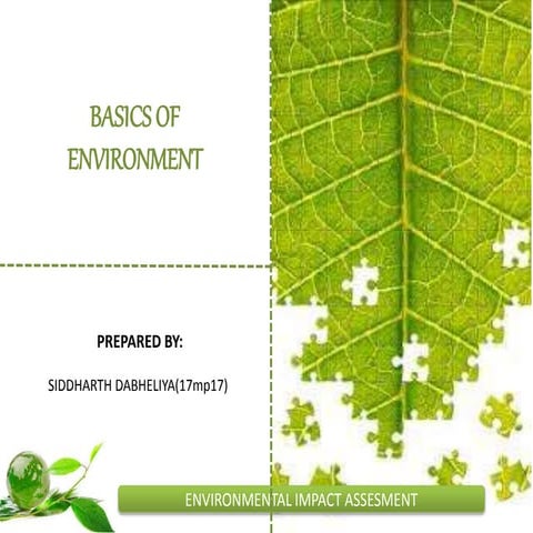 Basics of environment | PPTX | Science