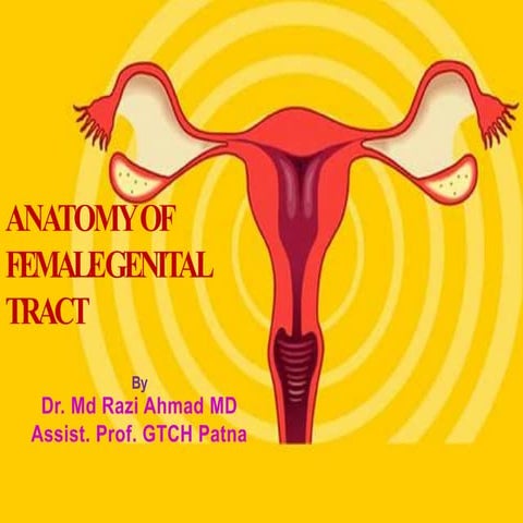 Basics of female genital organ | PPTX | Pregnancy | Reproductive Health