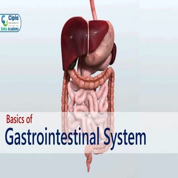 Basics of GI System | PPTX