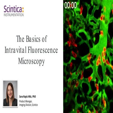 Basics of Intravital Microscopy Webinar 1 | PDF