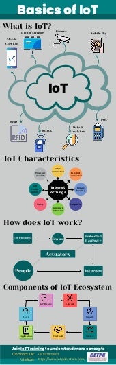 How does IoT Work? | PDF