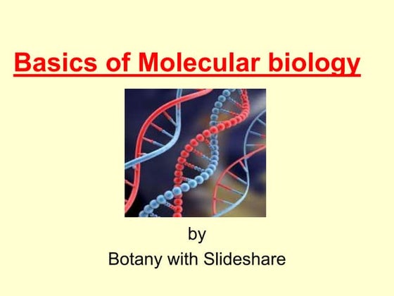 Nucleic acids | PPT