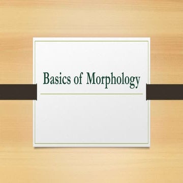 Basics of Morphology.pptx