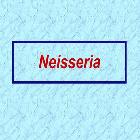 Basics of Neisseria- Basics for the clinicians .ppt