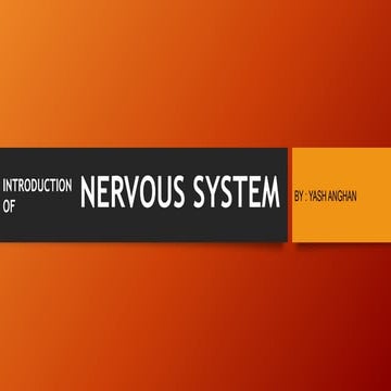 basics of nervous system.pptx