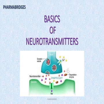 Basics of neurotransmitters | PPTX