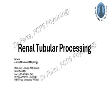 Basics of tubular processing across renal tubule | PDF