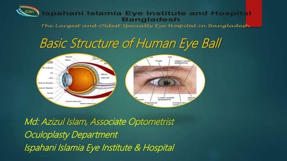 anatomy of the eyeball | PPTX | Eye and Vision Conditions | Diseases ...