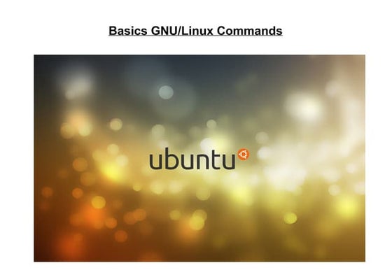 Configuring the boot menu in ubuntu | PDF
