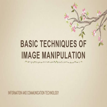 Basic techniques of image manipulation | PPTX