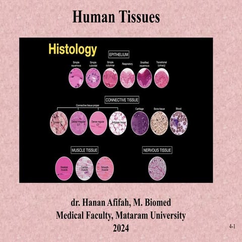 Basic histology tissues of human for medical students | PPT