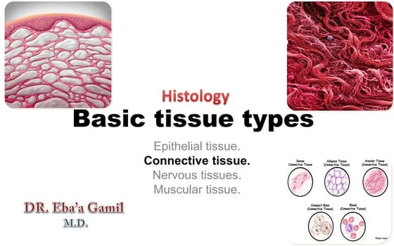 Histology_of_Connective_Tissue_Fibers_By_Hemanth .docx