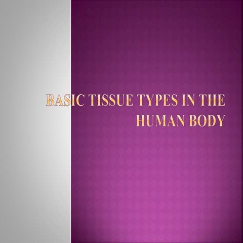 Basic tissue types in the human body | PPTX