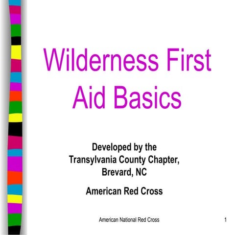 American Red Cross Wilderness First Aid Basics | PPT