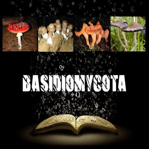 Basidiomycota Fungi - Kelas X | PPTX
