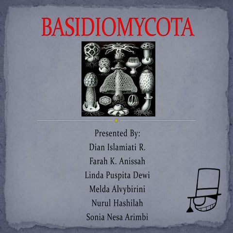 Basidiomycotina | PPT