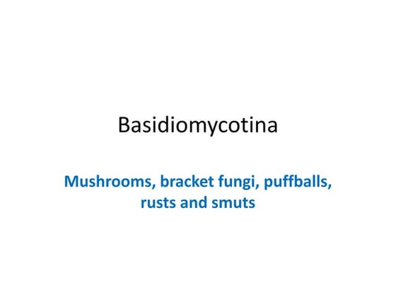 Fruiting bodies of Deauteromycetes & Ascomycetes | PPT