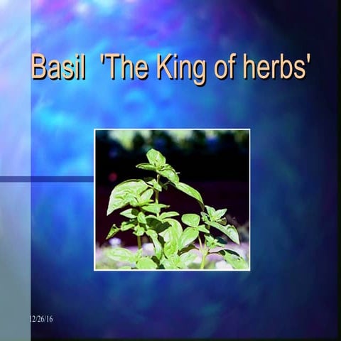 Basil | PPT