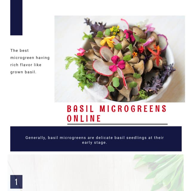 Basil microgreens online | PDF