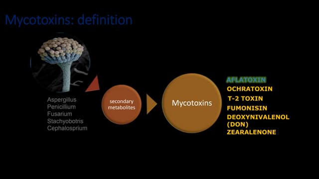 Aflatoxin: A fungal toxin infecting the food chain