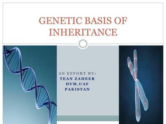 Bio chapter 5 | DOCX | Reproductive Health | Diseases and Conditions