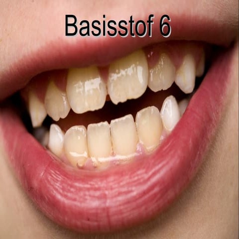 Basisstof 6, het gebit | PPT