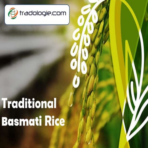 Basmati rice | PDF