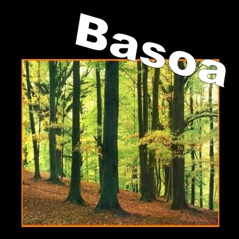 Basoa | PPT