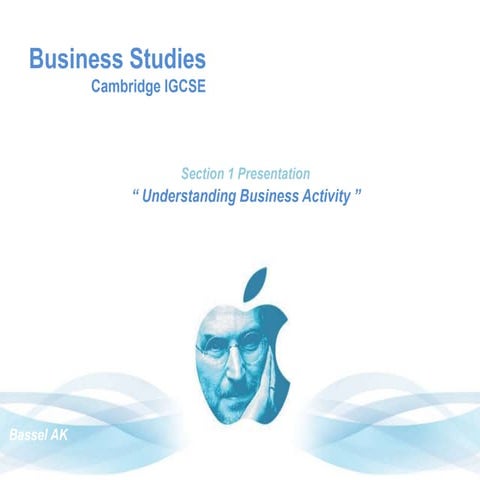 Visualized Business Studies Course - Cambridge IG | PPSX