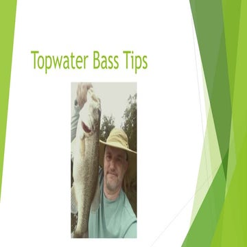 Topwater Fishing Tips | PPTX
