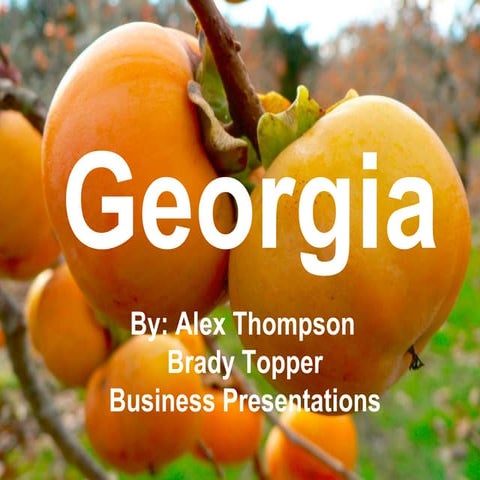 Georgia | PPT