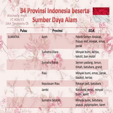 Sumber Daya Alam Tiap Provinsi di Indonesia | PPTX
