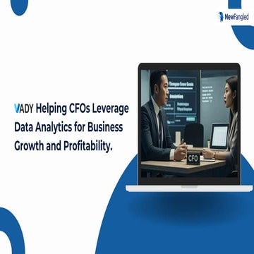 VADY: Unlocking Growth Through Data-Driven CFO Strategies | PDF