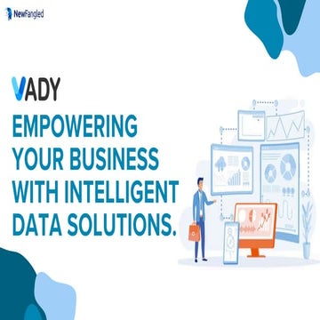 VADY: Intelligent Data Solutions for Smarter Business Decisions | PDF