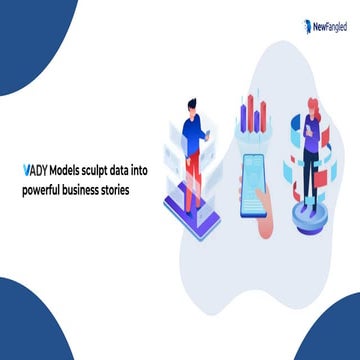 VADY – Turning Data into Powerful Business Stories | PDF