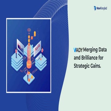 VADY: Harnessing Data Intelligence for Unmatched Business Success | PDF