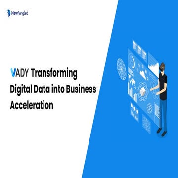 VADY: Transforming Digital Data into Business Acceleration | PDF