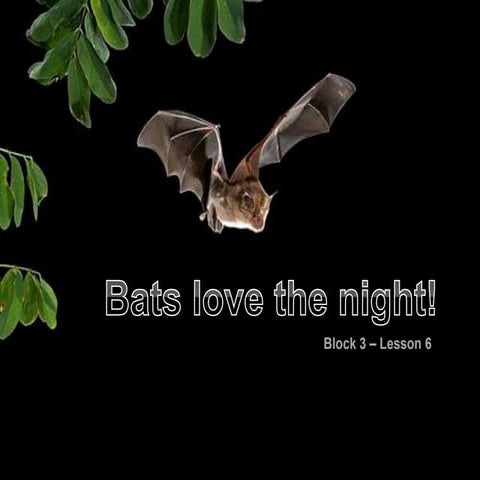 Bat loves the night | PPTX