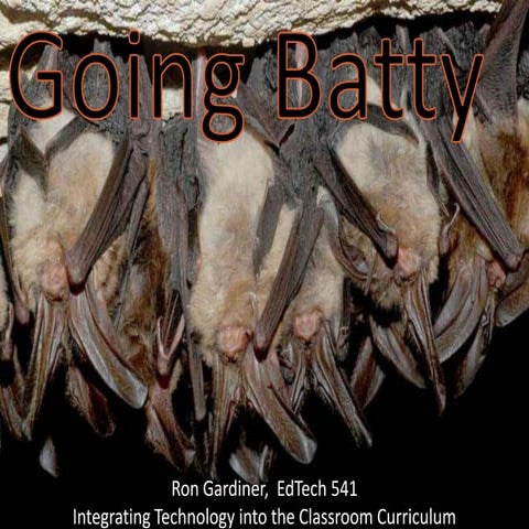 Bat presentation | PPTX