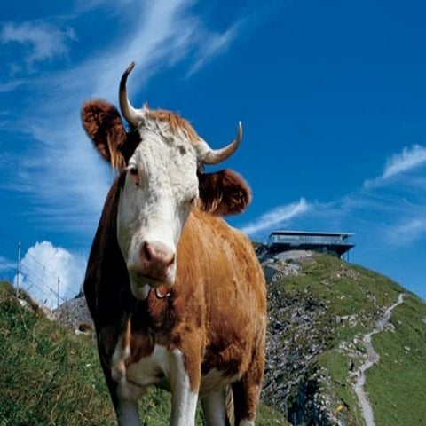 Batrec 2005 Ab | PPT