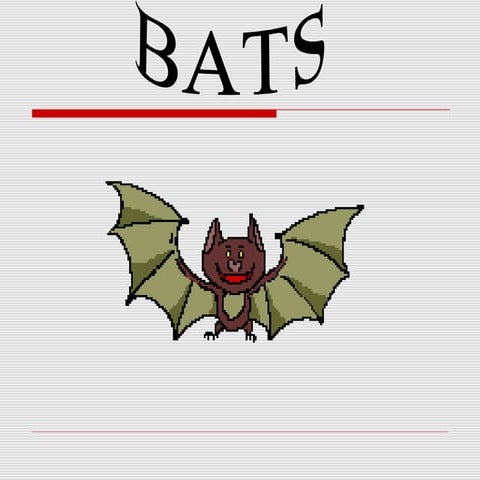 Bats | PPT